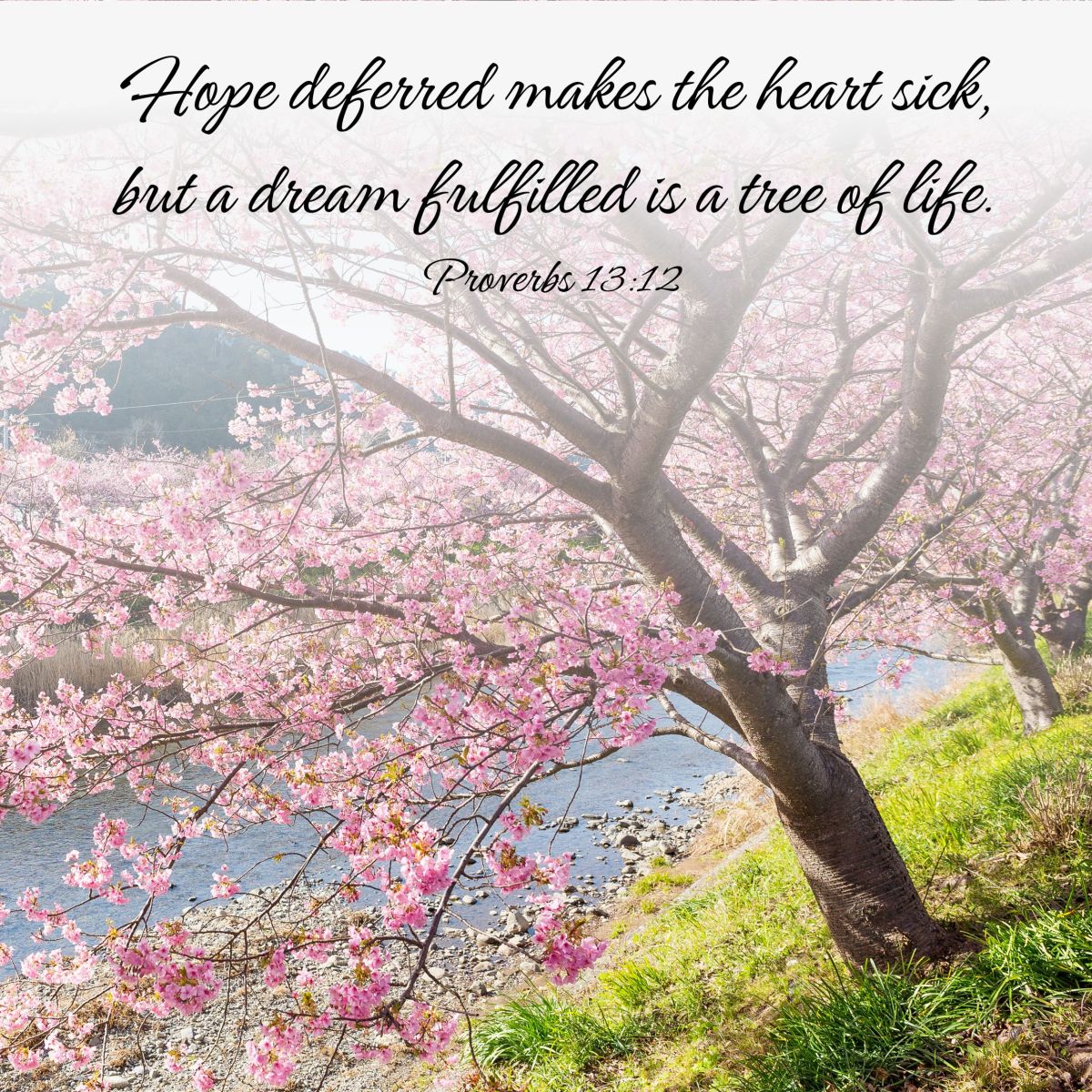 Holding Onto Hope: How To – The Art of Choosing True Life